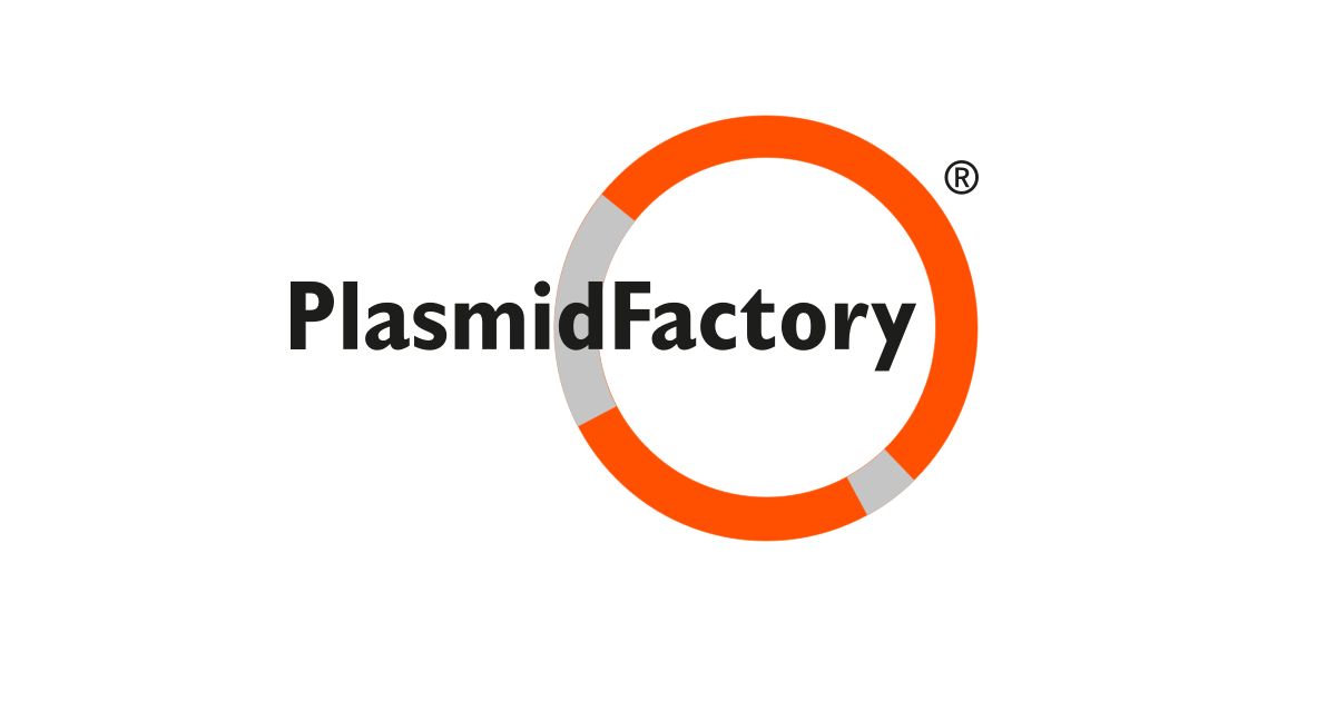 Linearized Plasmid and Minicircle DNA – PlasmidFactory GmbH