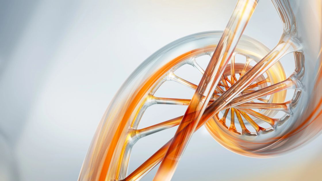 Plasmid DNA – PlasmidFactory GmbH